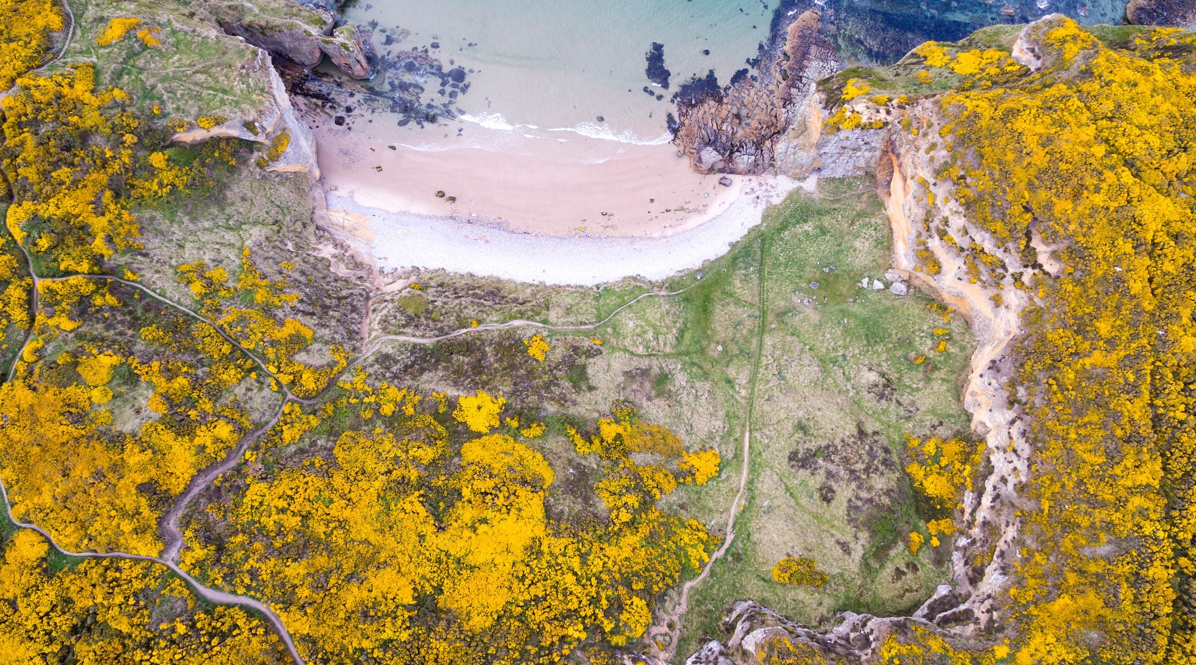 Community Rewilding Guide - The Scottish Rewilding Alliance