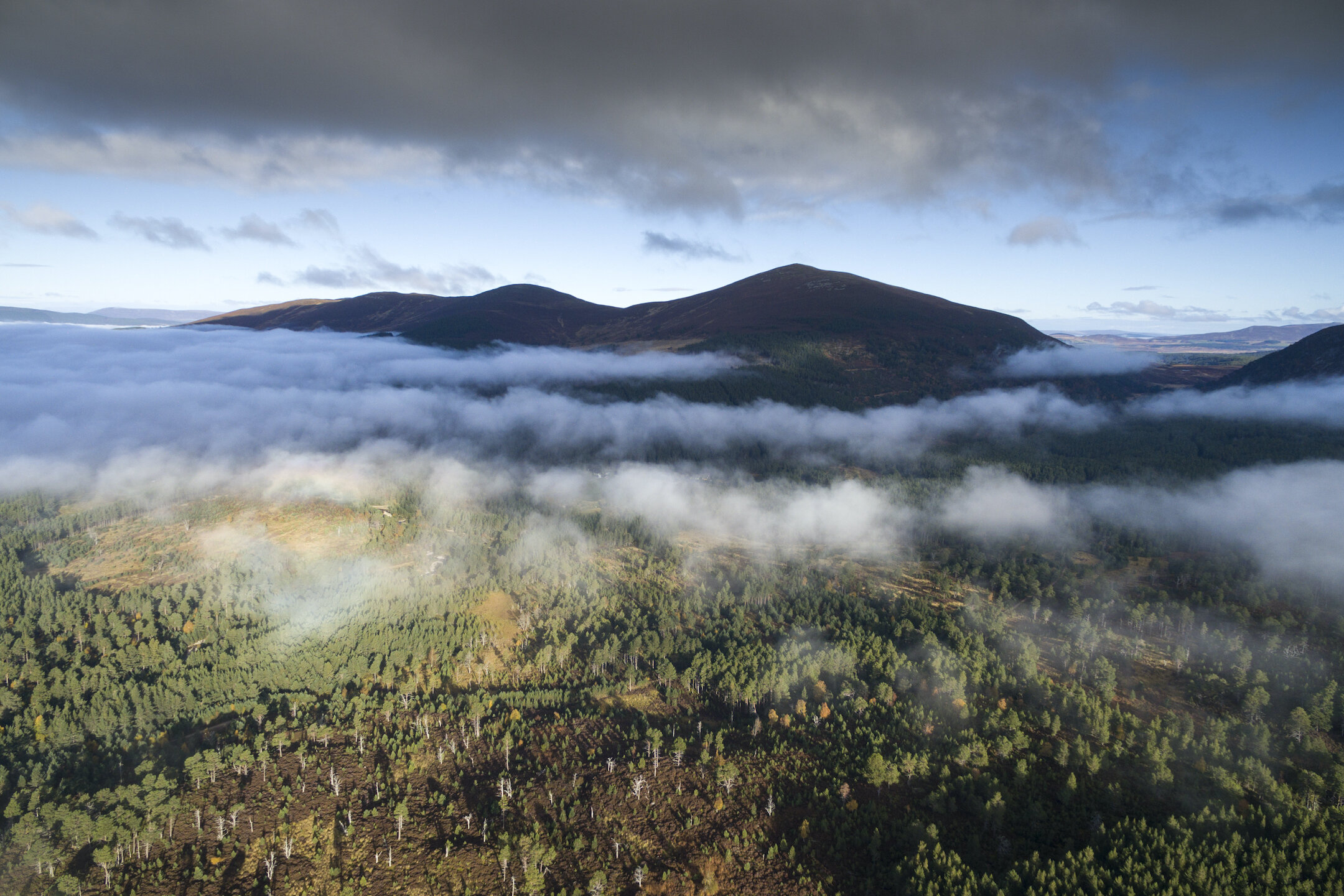 Explore Rewilding - The Scottish Rewilding Alliance