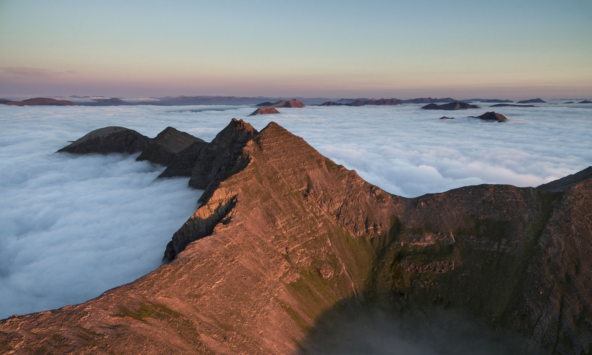 Rewilding News - The Scottish Rewilding Alliance