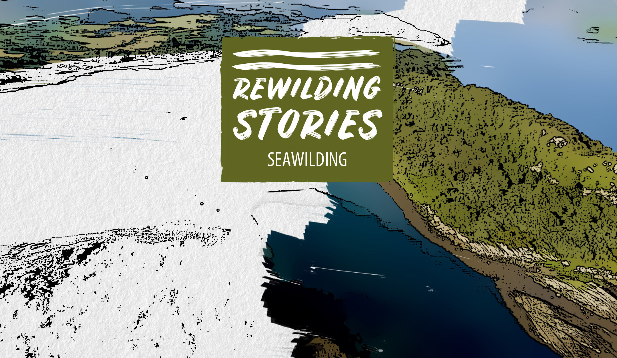 Rewilding Stories - Seawilding - The Scottish Rewilding Alliance