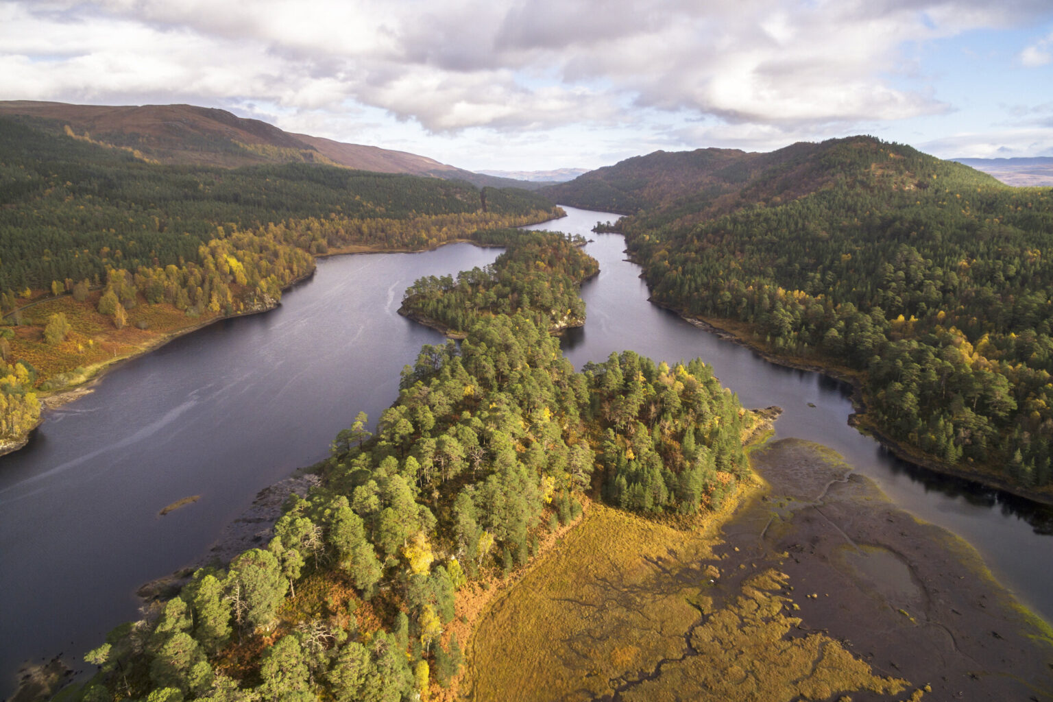 School resources - The Scottish Rewilding Alliance