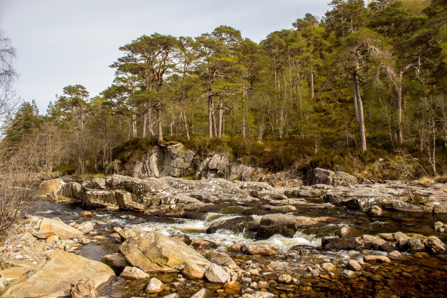 Statement: We need clear, ambitious and updatable targets for nature ...