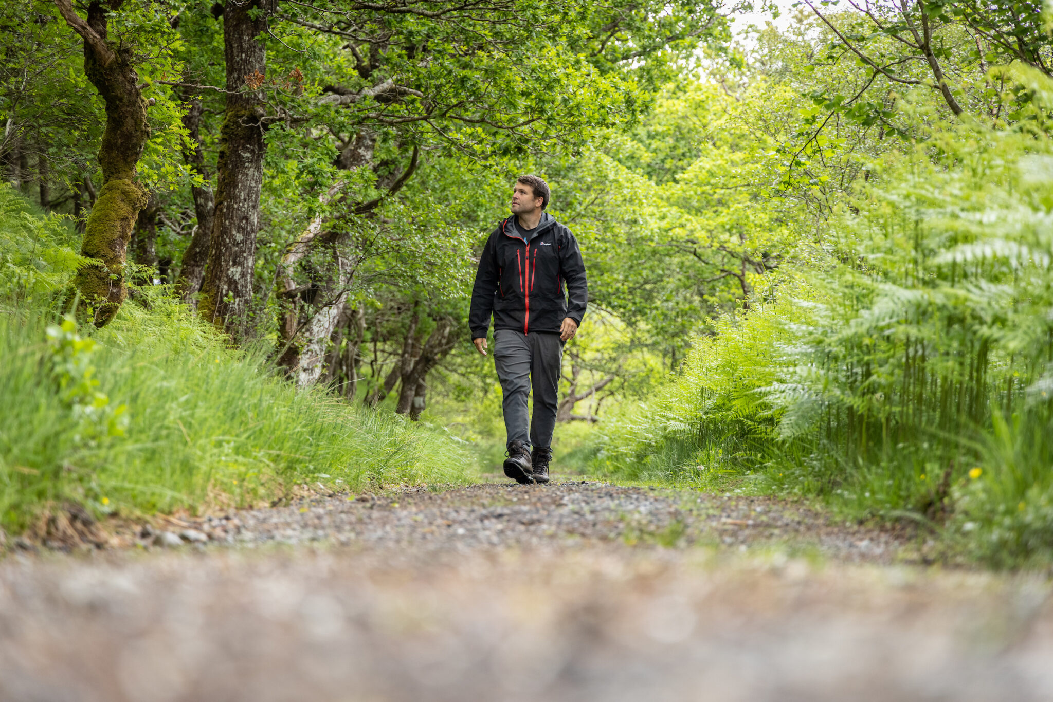 Home - The Scottish Rewilding Alliance